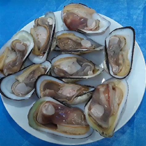 Sò Dẹo Là Con Gì Giá Bao Nhiêu Sò Dẹo Làm Món Gì Ngon