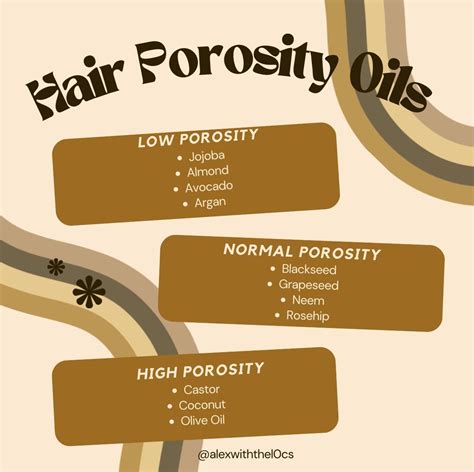 Hair Porosity And Best Oils For Healthy Hair