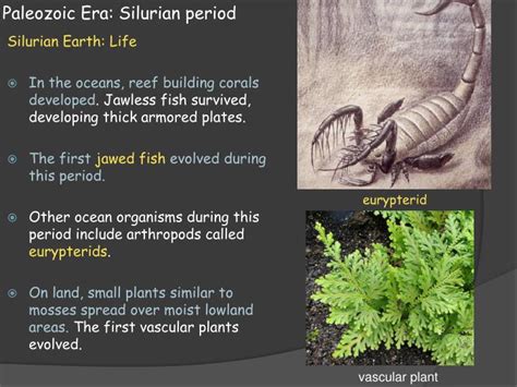 Ppt Earth Science 132a Paleozoic Era Life Explodes Powerpoint