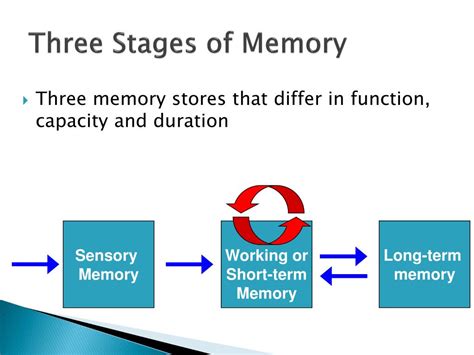 PPT Unit II Chapter 4 Consciousness And Its Variations Chapter 6 Memory PowerPoint