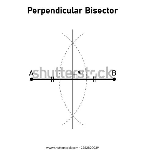 perpendicular bisector segment mathematics vector illustration stock