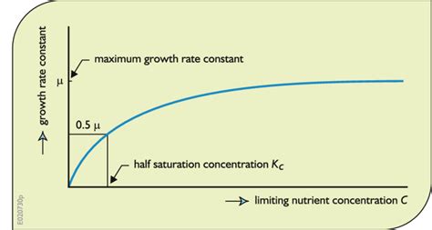 13 Defining The Half Saturation Constant For A Michaelismenten Model
