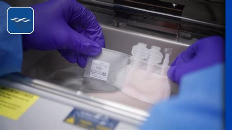 How To Thaw Cells In A Cryopreserved Leukopak Youtube