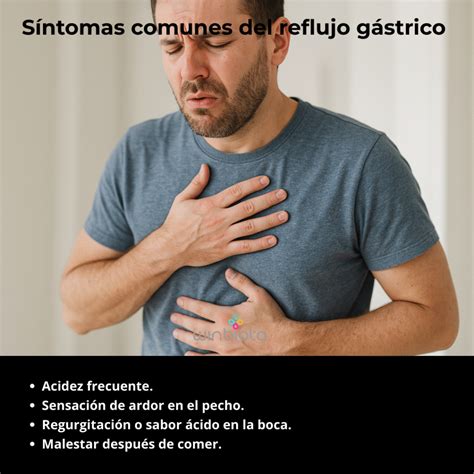 Probióticos Para El Reflujo Gástrico ¿cómo Pueden Ayudarte