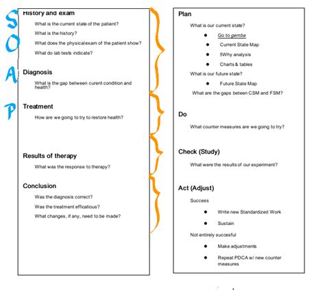 Veterinary Soap Template