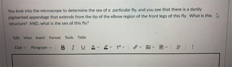 Solved You Look Into The Microscope To Determine The Sex Of