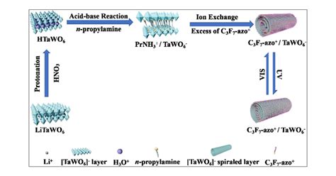 Self Assembly Of Photoresponsive Nano Scrolls Produced By Exfoliation Of Layered Tawo6 Langmuir