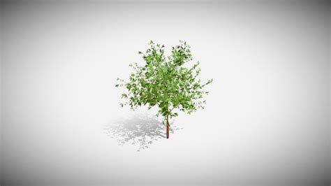 Uesreseach Sketchfab