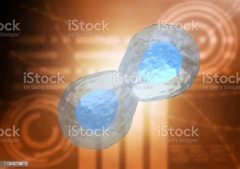 Process Of Splitting The Stem Cells Onto The Graphic Background 3d