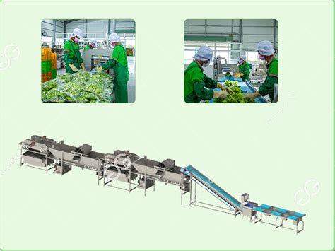 How Do You Prepare Fruit And Vegetables For Processing For New Business