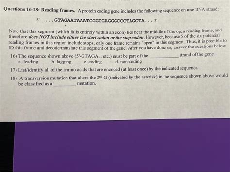 solved questions 16 18 reading frames a protein coding