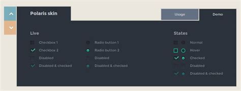 JQuery Inspirations 44 ICheck Themes Awesome