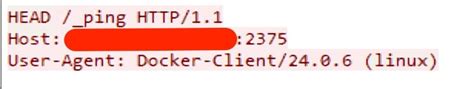 Attackers Exploit Exposed Docker Remote Api Servers Using Perfctl