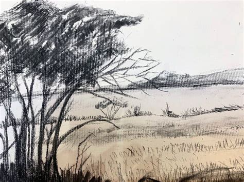 Nature Drawing Sketches