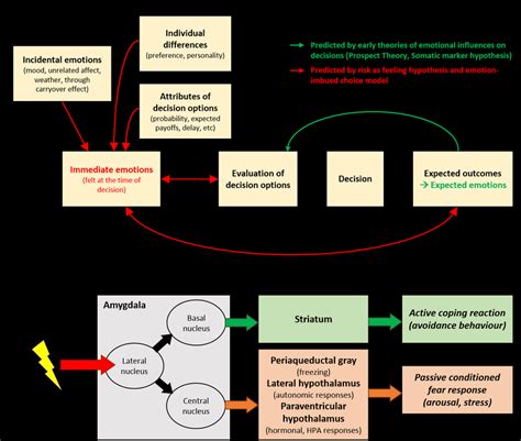 Summary Of Models Of Integral Emotional Influences On Choice A