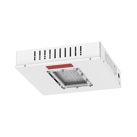 Canopy Series Black And Blue Lighting