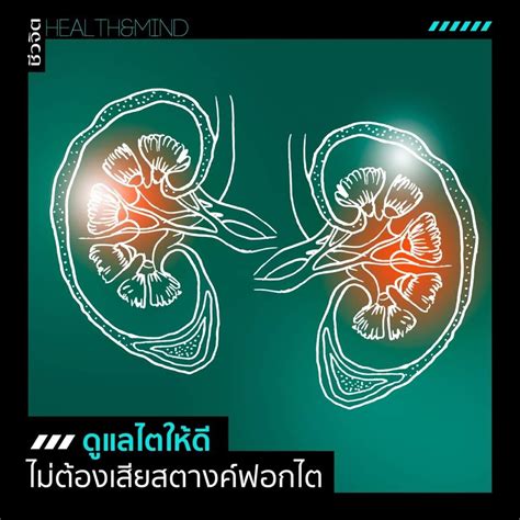 ดูแลไต ธรรมชาติดูแลมะเร็ง เนื้องอก ซีสต์ ตับ ไต