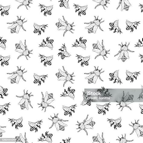 꿀벌 매끄러운 패턴 빈티지 스타일의 꿀벌 벌집과 스케치 벡터 일러스트 건강관리와 의술에 대한 스톡 벡터 아트 및 기타 이미지 건강관리와 의술 건강한 식생활 곤충
