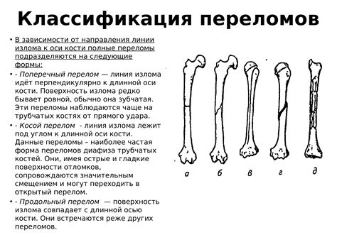 Переломы костей у животных