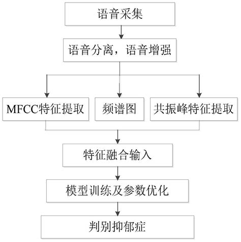 谱减法降噪下多语音特征融合的抑郁症检测方法 专利查询 企查查