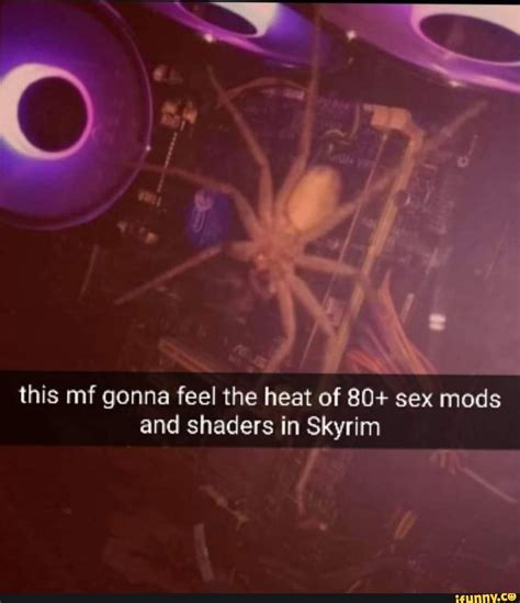 This Mf Gonna Feel The Heat Of 80 Sex Mods And Shaders In Skyrim Ifunny