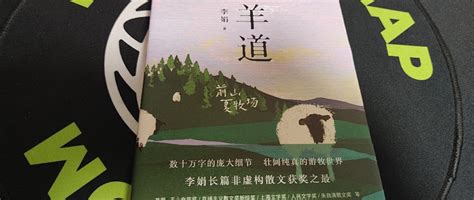 《羊道·前山夏牧场》：在尘土与星光之间散文什么值得买