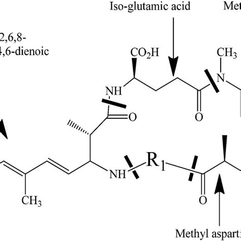 Molecular Structure Of Microcystin Download Scientific Diagram
