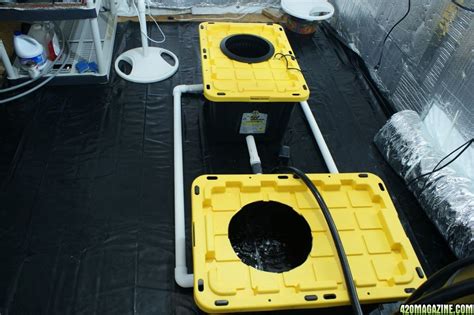 Plant DIY Recirculating DWC Test Magazine Plant DIY Recirculating DWC Test Magazine