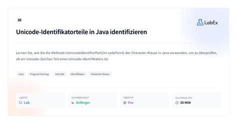 Java Programmierung Unicode Identifikator Character Klasse Labex