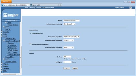 IPsec Site To Site VPN Palo Alto Juniper ScreenOS Weberblog Net