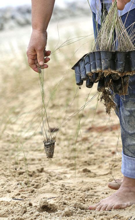Protect Natural Floodplain Functions Accomack County