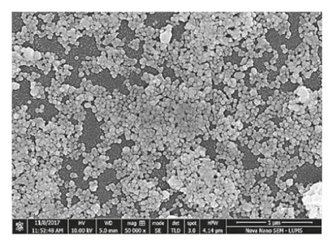 Sem Micrographs Of Tio2 Thin Films Having Different Thickness A