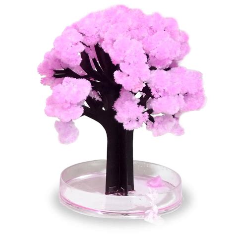 Magic Sakura Tree Iwoot Uk