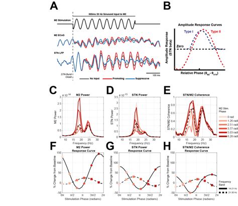 Simulating Closed Loop Stimulation Of Motor Cortex When Sensing