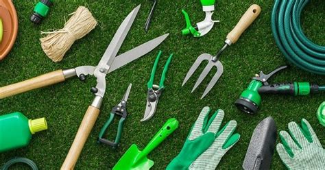 Лютневі роботи в саду та городі 6 порад як ефективно підготуватися до сезону Читайте на Ukr Net