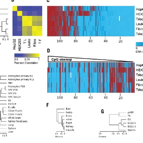 Examples Of The Features Of The Bdpc Clustering Module A Clustering Download Scientific