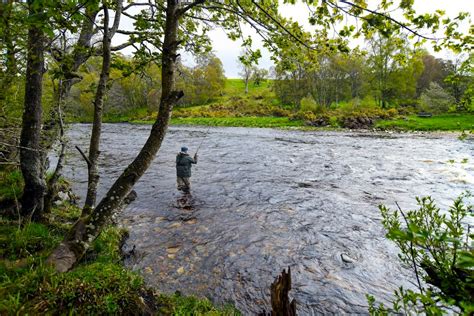 12 Of The Best Salmon Rods Trout And Salmon
