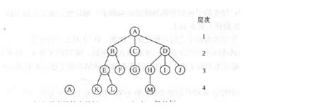 数据结构树和二叉树详细分析全 word文档免费下载 亿佰文档网