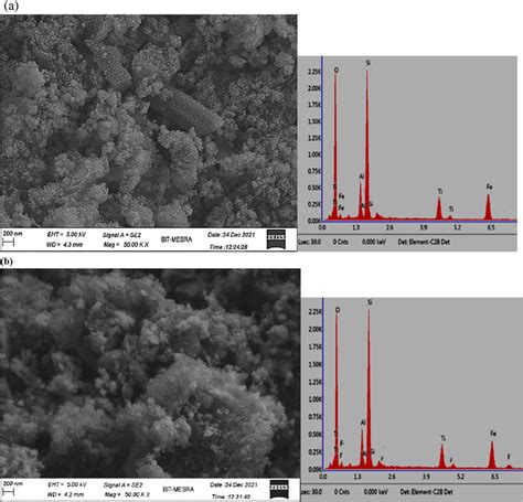 Semeds Analysis Of A Before And B After Treatment Of F⁻ 1 Ppm Using Narm Download Scientific