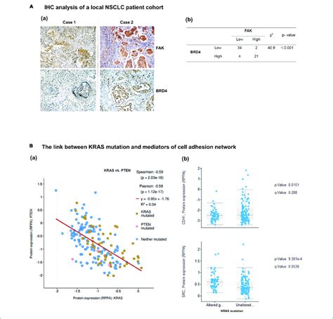 Co Expression And Activation Of Integrin Fak And Brd4 C Myc Axes In Download Scientific