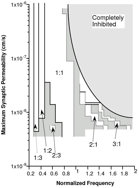 This Graph Shows The Borders Of Selected Locking Behaviors For Download Scientific Diagram