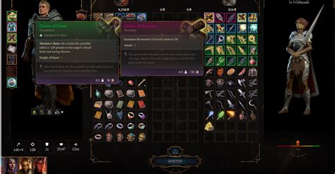 Dex 18 Item On Equip Is There One For Every Ability Score R Baldursgate3