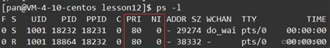 【linux进程篇 进程优先级】linux 进程优先级 Csdn博客