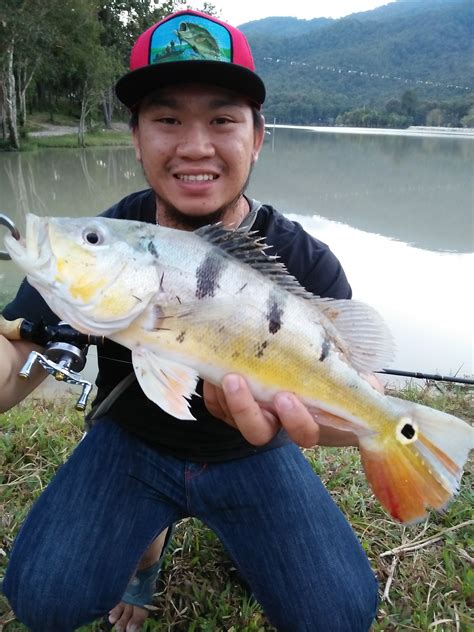 Yamoto ของดีต้องบอกต่อ บริษัททรัพย์ทวีฯ Facebook