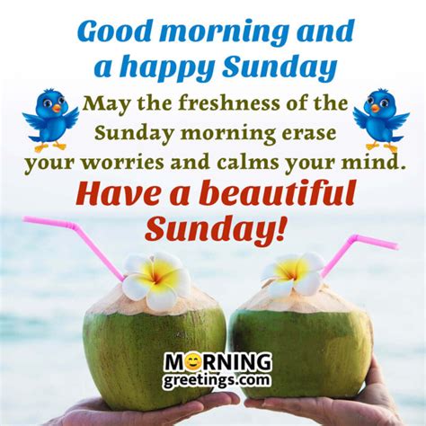 Good Morning Happy Sunday Images To Spread Joy Morning Greetings