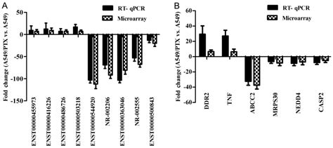 Microarray Expression Profile Of Long Non Coding Rnas In Paclitaxel