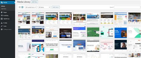 Lms Vs Cms Key Similarities And Differences Explained