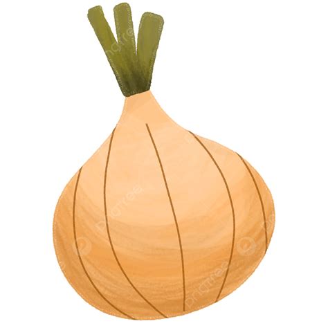 양파 그림 양파 야채 삽화 채소 Png 일러스트 및 Psd 이미지 무료 다운로드 Pngtree
