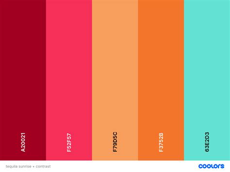 Colorful Website Color Palette