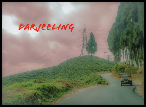 Darjeeling Tea Garden Photograph By Avijit Saha Fine Art America